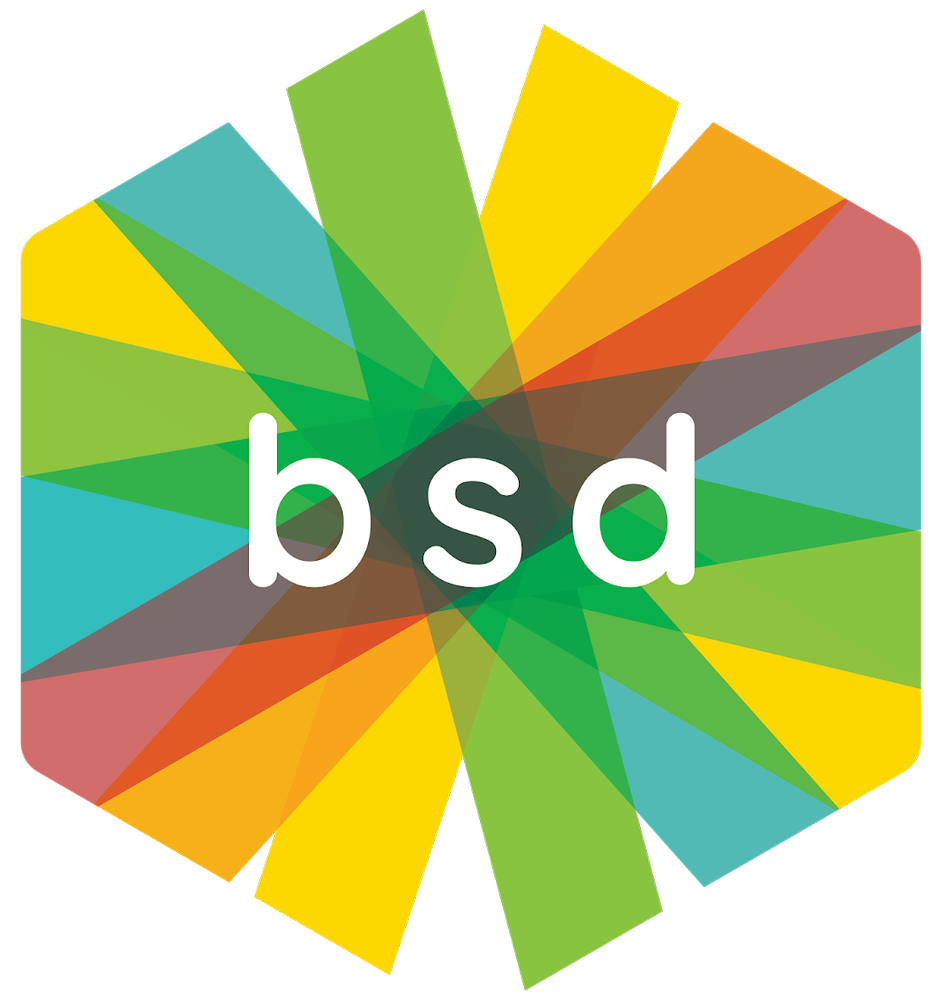 BSD Online | Code During Class